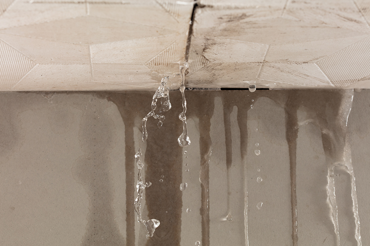 Roof Leaks in Heavy Rain | 6 Best & Quick Fixes